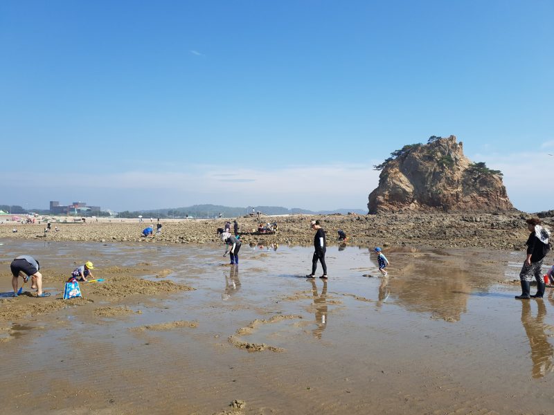 5 Taean Beaches for Summer