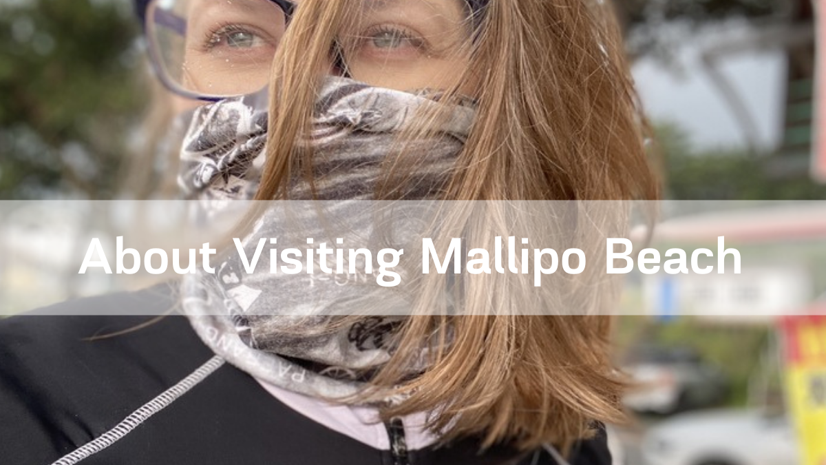 Our Best Mallipo Beach Day Itinerary