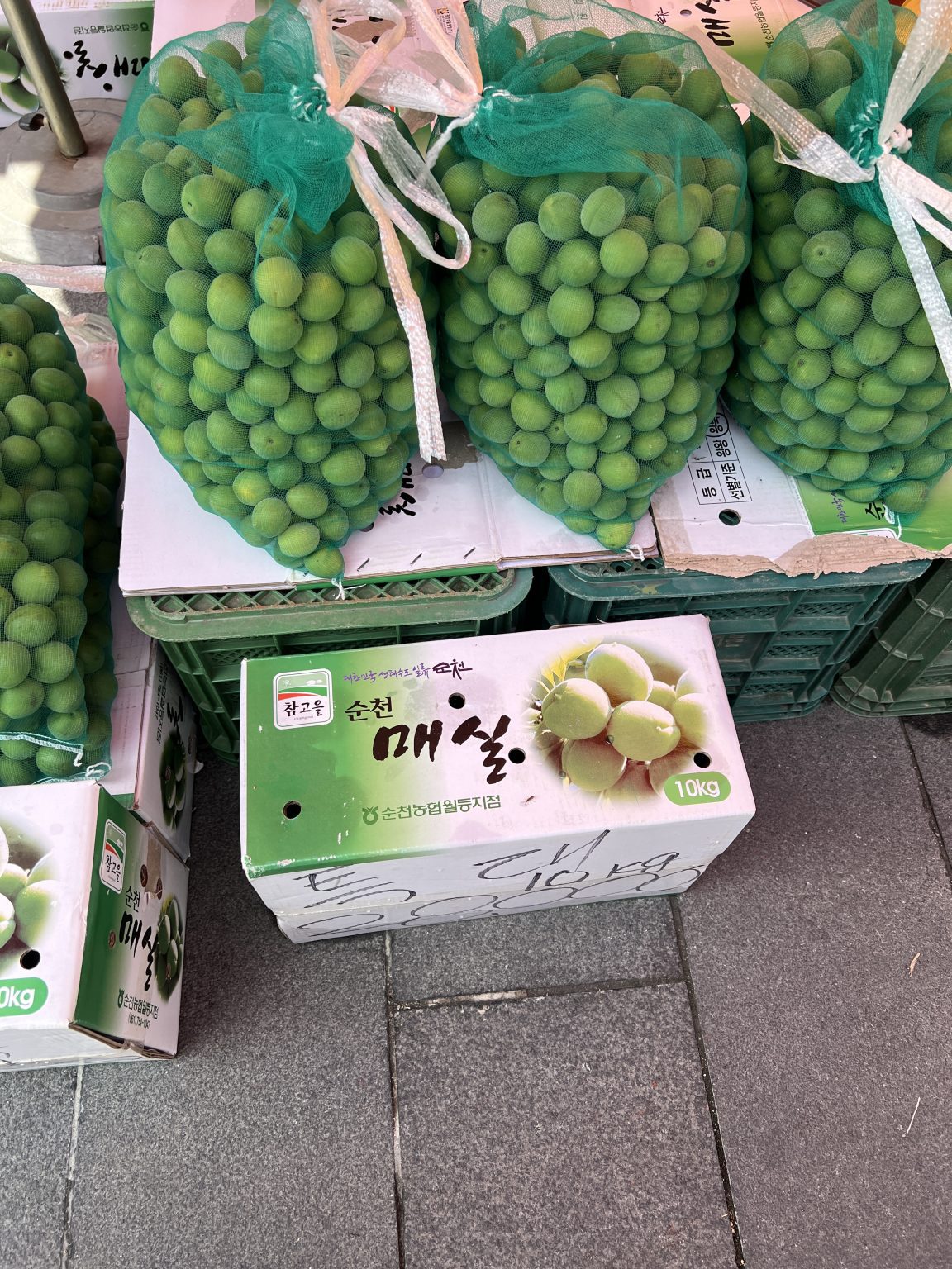 Maesil-Cheong 매실청 (Korean Green Plum Syrup) Guide