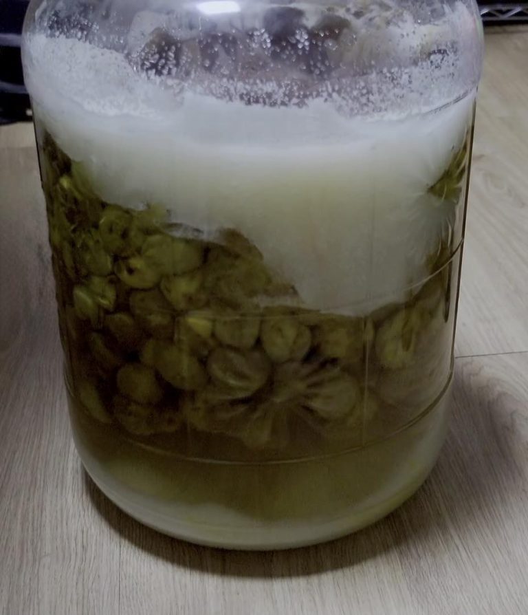 Maesil-Cheong 매실청 (Korean Green Plum Syrup) Guide